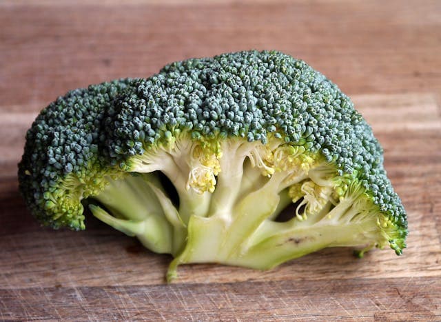 Can Rabbits Eat Broccoli? - WhatAboutPets - Everything About Pets